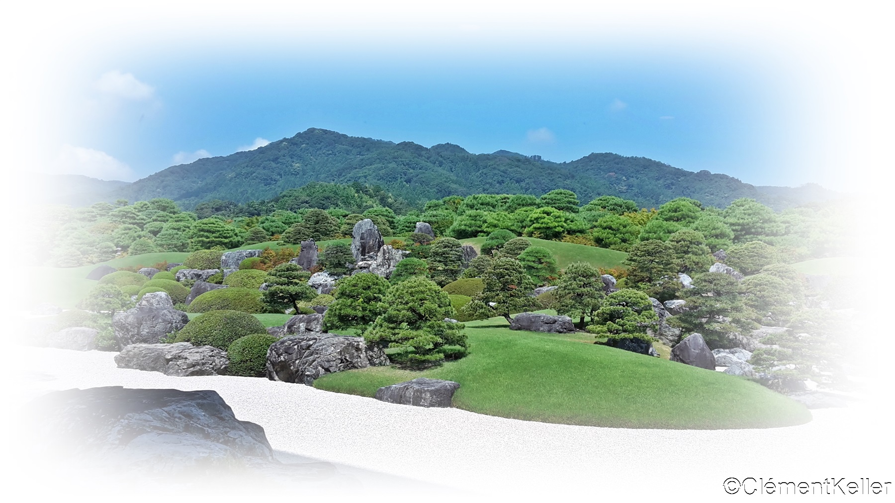 Adachi Museum of Art - Les jardins japonais