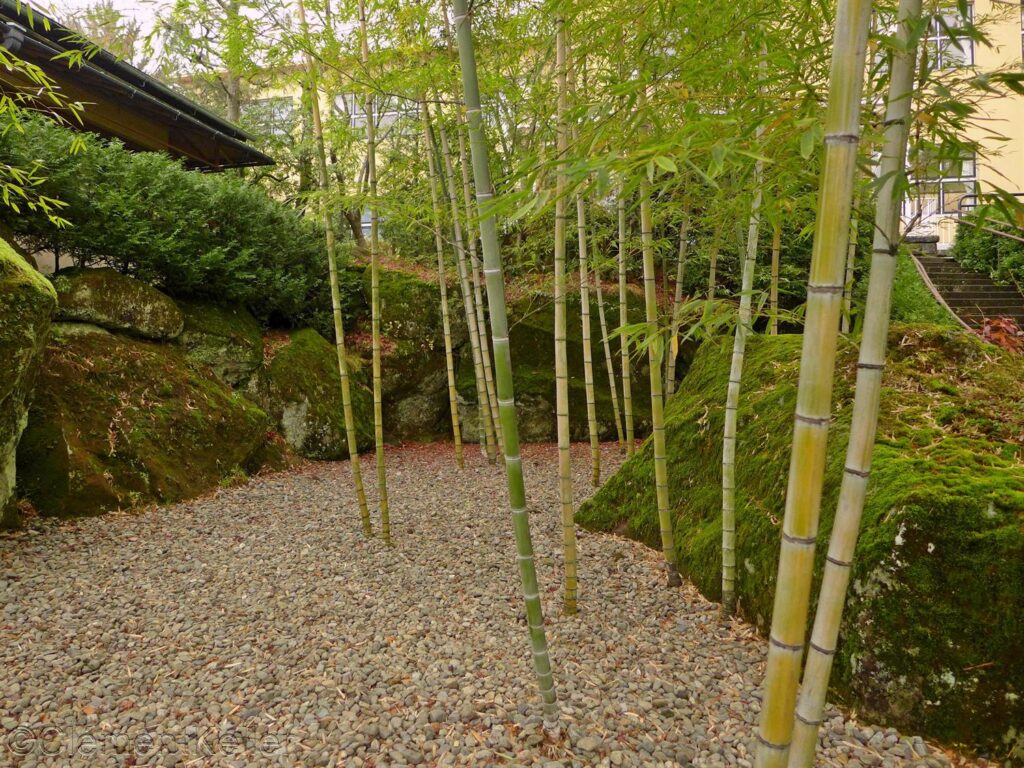 Un jardin japonais à Hakone : le Shinsen-kyō - Les jardins japonais