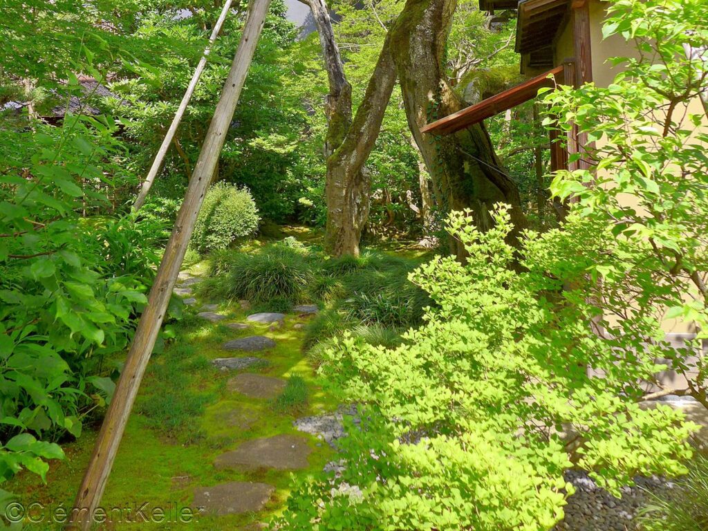Maison TERASHIMA - Les jardins japonais
