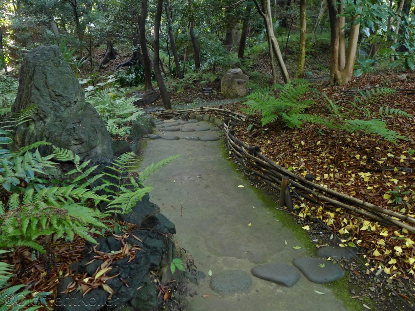 Koishikawa Kōraku-en - Les jardins japonais