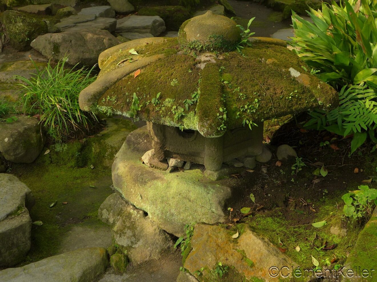 Sengan-en - Les jardins japonais