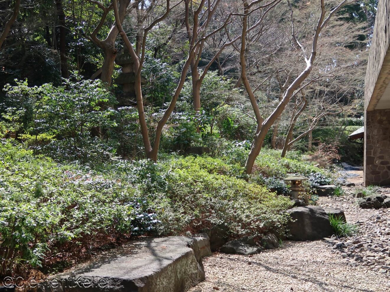 Hotel Sheraton Miyako Tokyo - Les jardins japonais