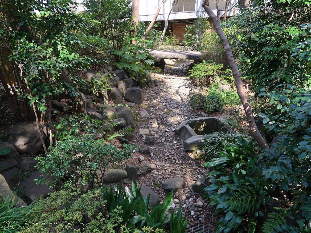 Hotel Sheraton Miyako Tokyo - Les jardins japonais
