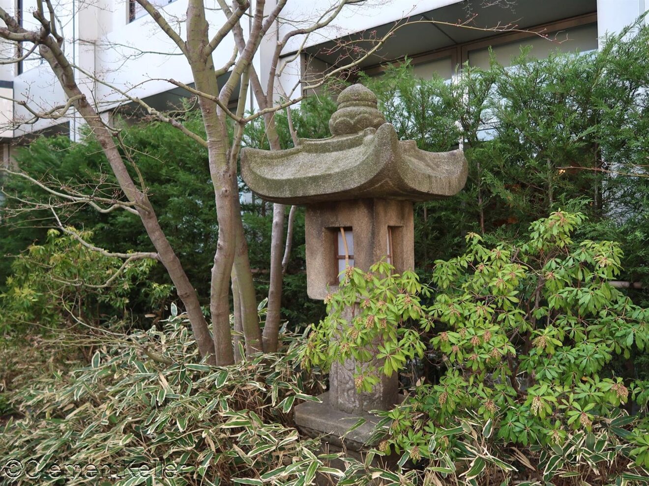 Hotel Sheraton Miyako Tokyo - Les jardins japonais