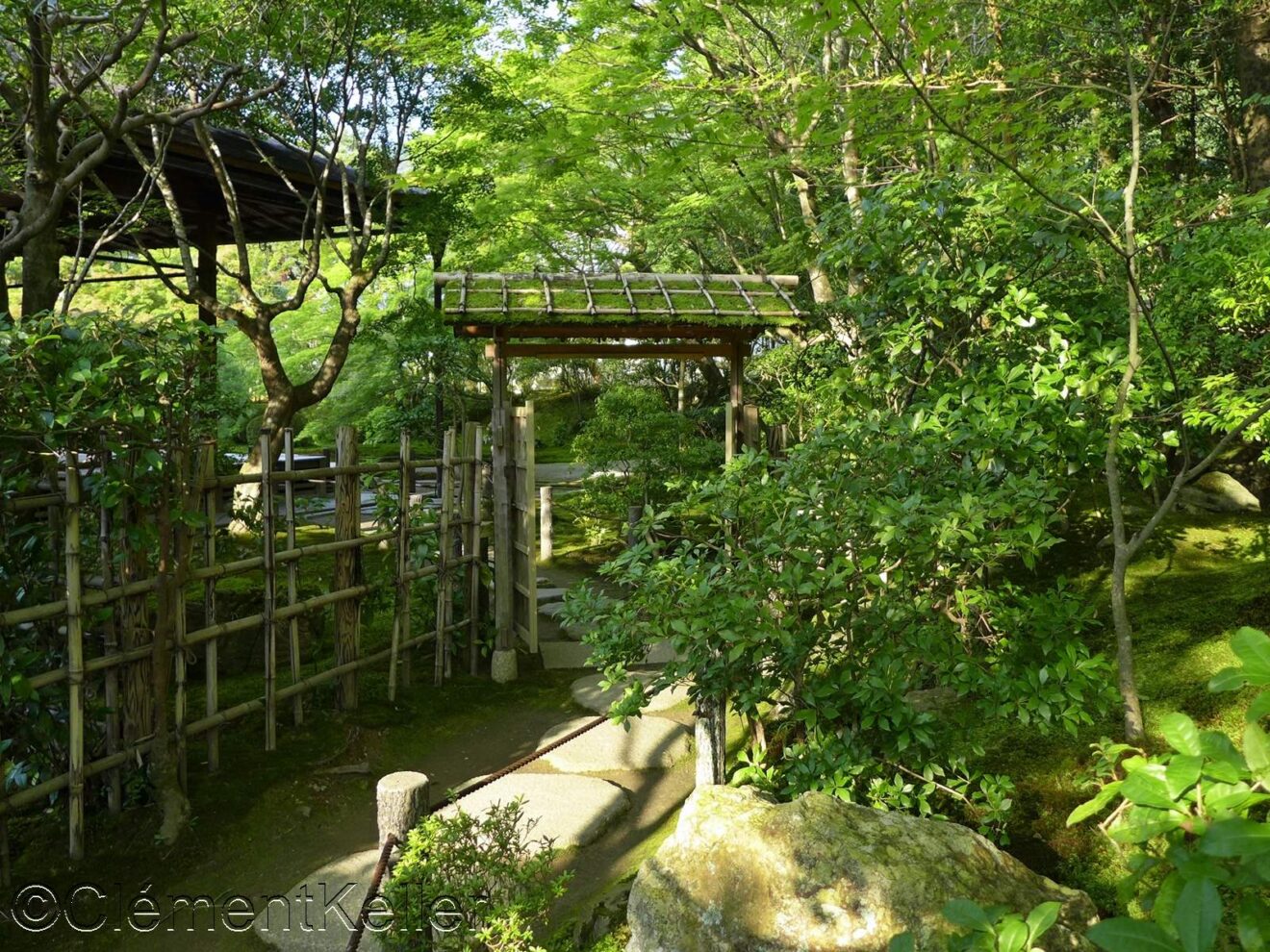 Tenju-an - Les jardins japonais