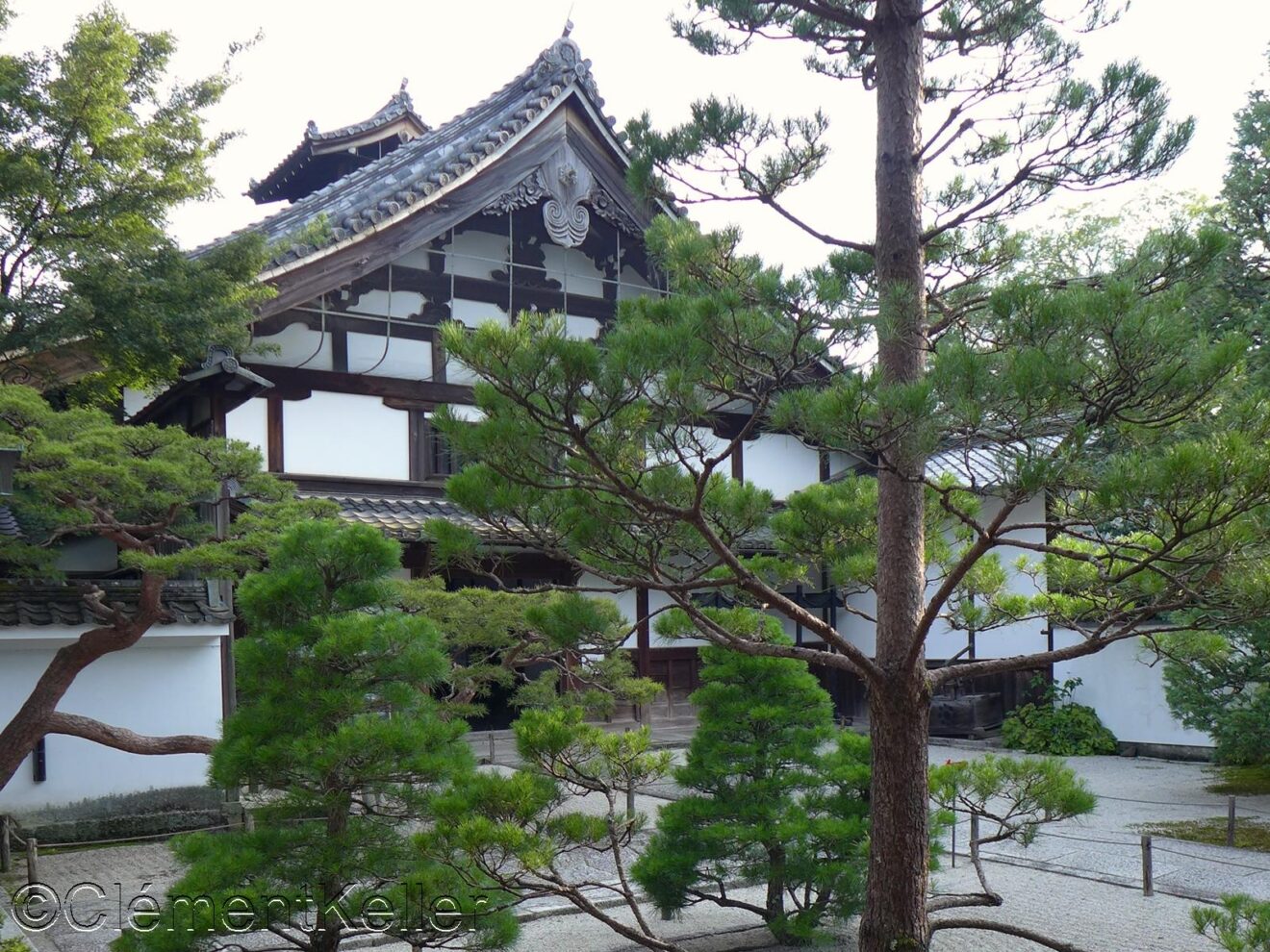 Tenju-an - Les jardins japonais